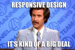25 Funny Memes about Website Design | PaulBarrs.com